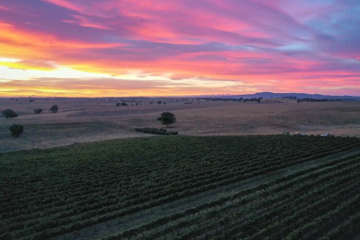 Printhie Wines Wiradjuri Land